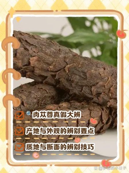 肉苁蓉图片真假鉴别_肉苁蓉图片高清细节-第2张图片-山城妙识