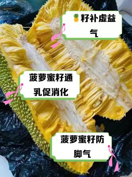 菠萝蜜的功效与作用_菠萝蜜怎么吃不上火-第1张图片-山城妙识
