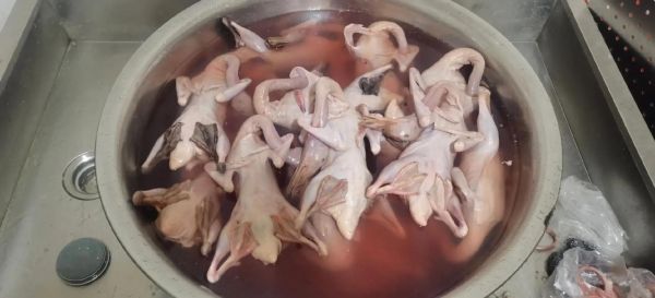 温州麻油鸭正宗配方_温州麻油鸭怎么做才够香-第1张图片-山城妙识