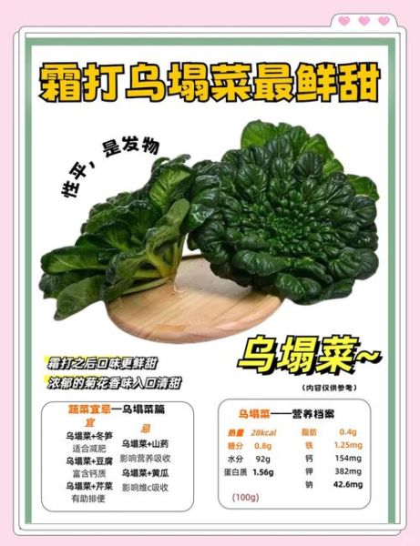 乌塌菜怎么种_乌塌菜的营养价值-第2张图片-山城妙识