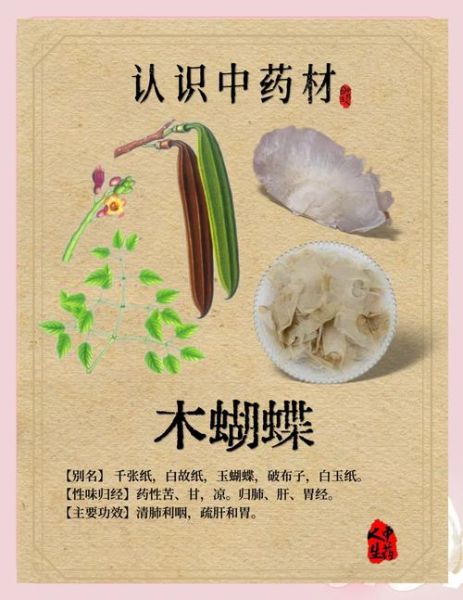 木蝴蝶的功效与作用_木蝴蝶怎么吃效果最好-第2张图片-山城妙识