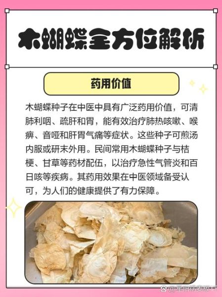 木蝴蝶的功效与作用_木蝴蝶怎么吃效果最好-第3张图片-山城妙识