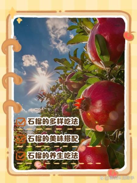 石榴怎么做好吃_石榴的吃法有哪些-第2张图片-山城妙识