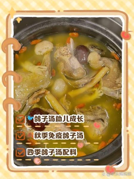 宝宝鸽子粥的做法_宝宝吃鸽子粥有什么好处-第2张图片-山城妙识 宝宝鸽子粥的做法_宝宝吃鸽子粥有什么好处-第2张图片-山城妙识