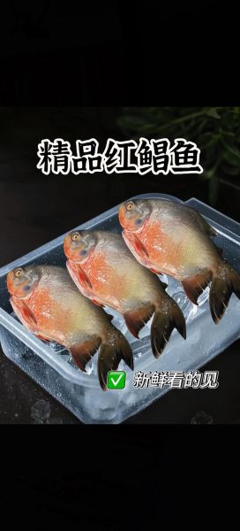 红鲳鱼有毒吗_红鲳鱼食用安全吗-第1张图片-山城妙识