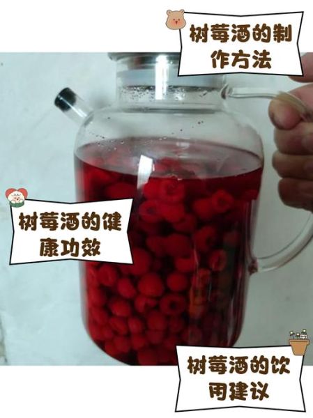 树莓酒的功效与作用_树莓酒能减肥吗-第1张图片-山城妙识