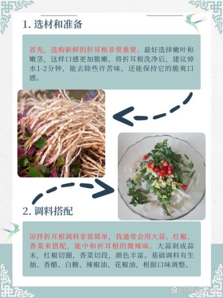 鱼腥草怎么吃_鱼腥草的吃法有哪些-第3张图片-山城妙识 鱼腥草怎么吃_鱼腥草的吃法有哪些-第3张图片-山城妙识