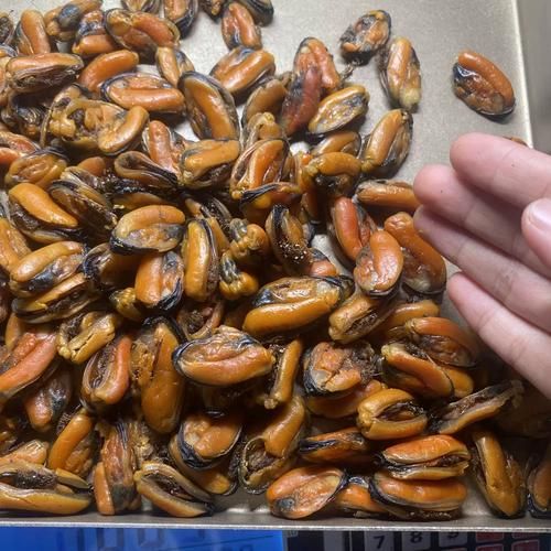 青口是什么_青口贝和淡菜的区别-第3张图片-山城妙识