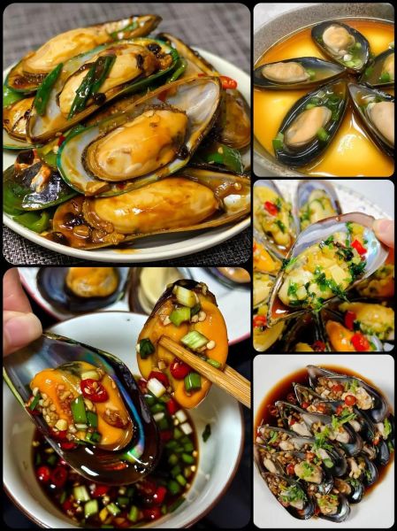 青口是什么_青口贝和淡菜的区别-第2张图片-山城妙识