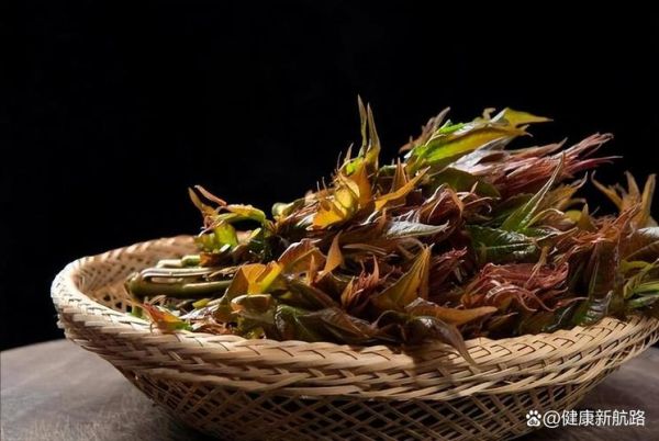 香椿炒蛋会导致器官衰竭吗_香椿中毒症状有哪些-第3张图片-山城妙识