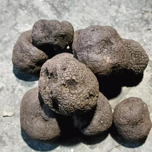 黑松露多少钱一斤_黑松露价格为什么差异大-第2张图片-山城妙识