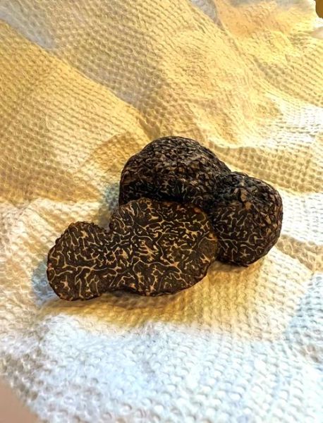 黑松露多少钱一斤_黑松露价格为什么差异大-第3张图片-山城妙识