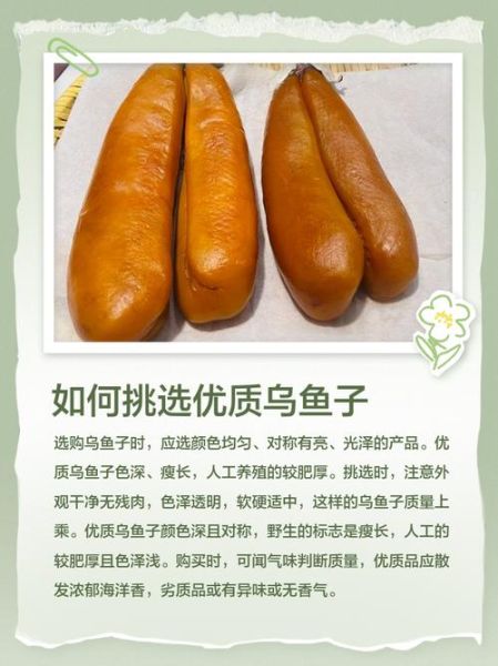 乌鱼子是什么梗_乌鱼子网络用语含义-第1张图片-山城妙识