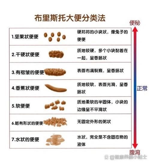 5天不拉屎大便哪去了_便秘原因与危害-第1张图片-山城妙识 5天不拉屎大便哪去了_便秘原因与危害-第1张图片-山城妙识