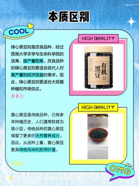 黑豆绿芯好还是黄芯好_营养价值与口感差异-第1张图片-山城妙识