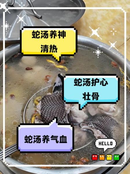 蛇汤的功效与作用_蛇汤适合什么人喝-第2张图片-山城妙识