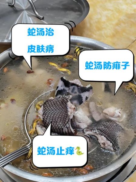 蛇汤的功效与作用_蛇汤适合什么人喝-第3张图片-山城妙识
