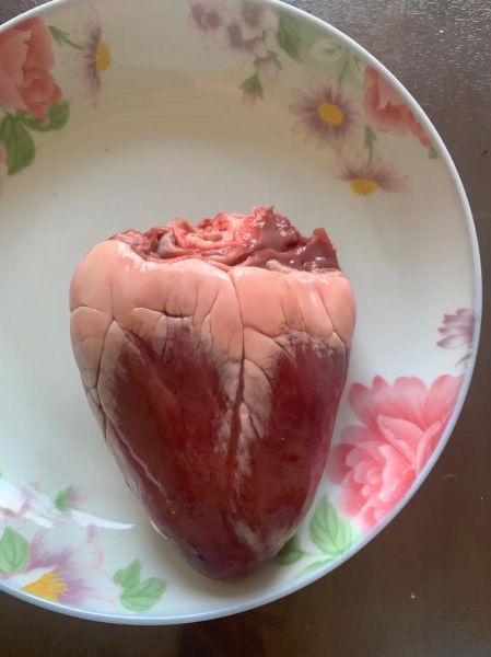 羊心图片怎么拍_羊心解剖结构图高清-第1张图片-山城妙识