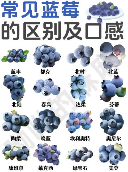 水果品种大全_哪些水果营养价值高-第1张图片-山城妙识