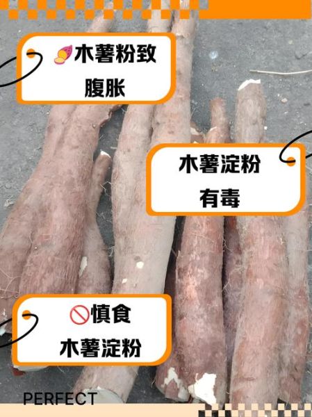 木薯淀粉有毒吗_如何安全食用-第1张图片-山城妙识