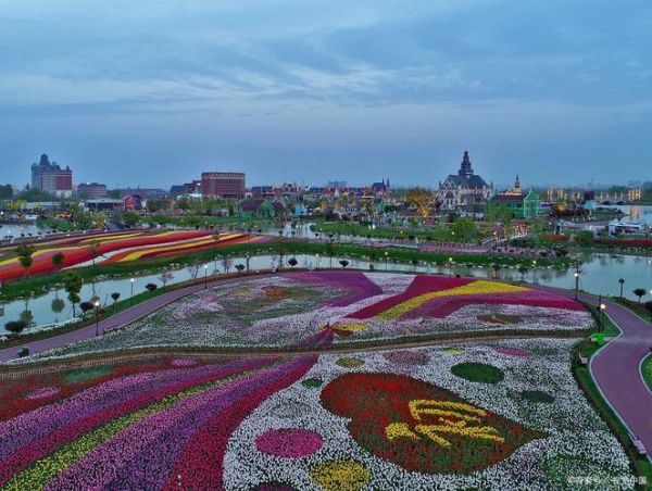荷兰花海在哪里_荷兰花海门票多少钱-第3张图片-山城妙识