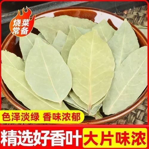 香叶月桂是什么_香叶月桂和月桂叶区别-第2张图片-山城妙识