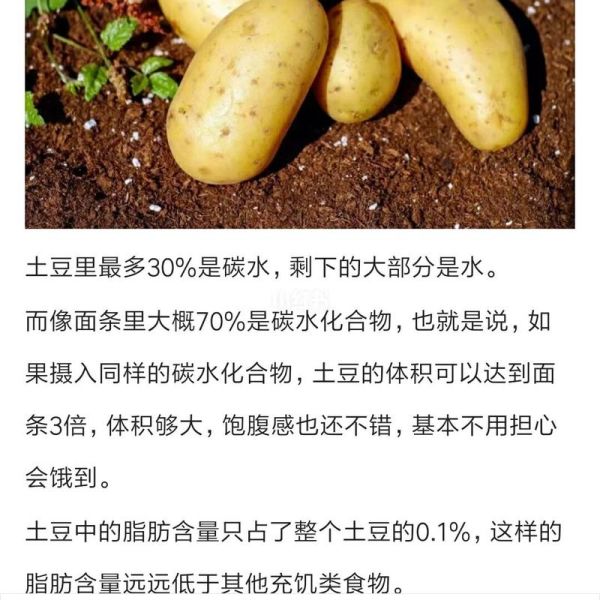 土豆网怎么没有了_土豆网关闭原因-第2张图片-山城妙识