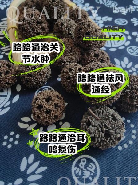 路路通的功效与作用_路路通怎么吃效果最好-第1张图片-山城妙识 路路通的功效与作用_路路通怎么吃效果最好-第1张图片-山城妙识