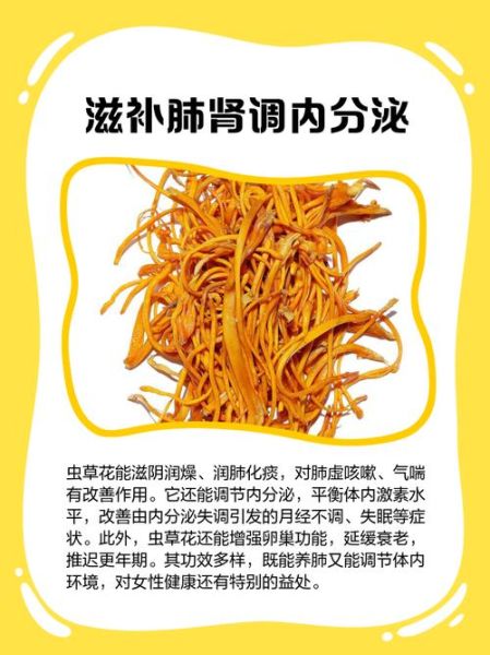 虫草花的功效与作用及禁忌_哪些人不能吃-第2张图片-山城妙识 虫草花的功效与作用及禁忌_哪些人不能吃-第2张图片-山城妙识