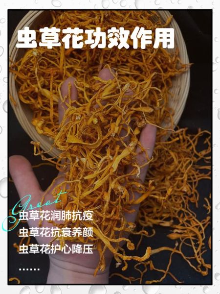 虫草花的功效与作用及禁忌_哪些人不能吃-第1张图片-山城妙识 虫草花的功效与作用及禁忌_哪些人不能吃-第1张图片-山城妙识