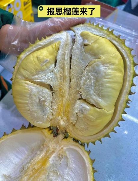 金枕榴莲怎么挑_金枕榴莲多少钱一斤-第2张图片-山城妙识 金枕榴莲怎么挑_金枕榴莲多少钱一斤-第2张图片-山城妙识