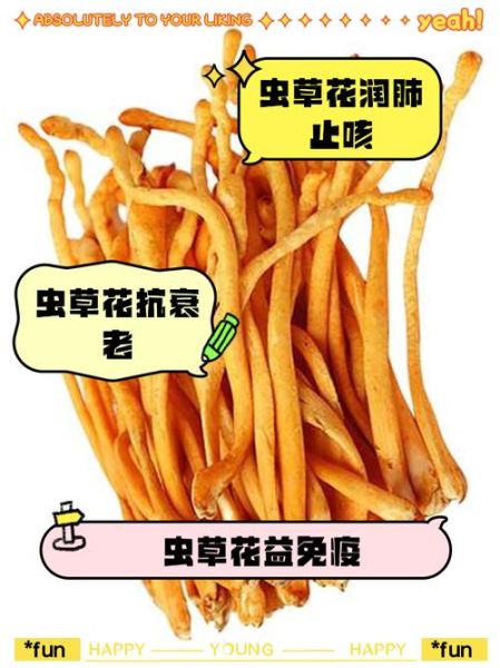 虫草花的功效与作用及禁忌_哪些人不能吃-第3张图片-山城妙识 虫草花的功效与作用及禁忌_哪些人不能吃-第3张图片-山城妙识