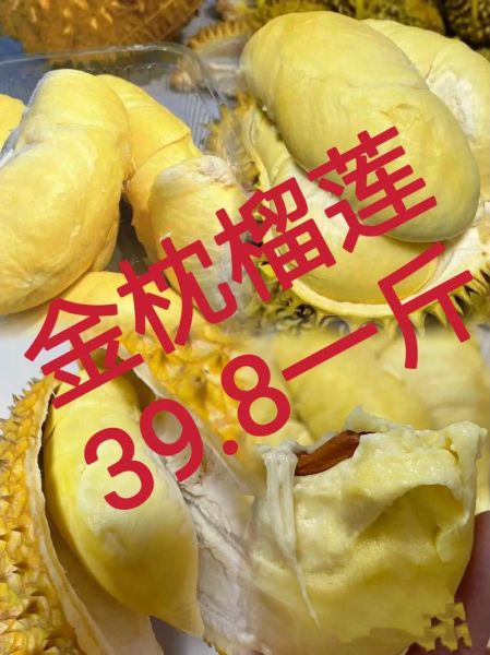 金枕榴莲怎么挑_金枕榴莲多少钱一斤-第1张图片-山城妙识 金枕榴莲怎么挑_金枕榴莲多少钱一斤-第1张图片-山城妙识