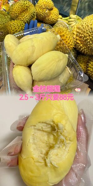 金枕榴莲怎么挑_金枕榴莲多少钱一斤-第3张图片-山城妙识 金枕榴莲怎么挑_金枕榴莲多少钱一斤-第3张图片-山城妙识