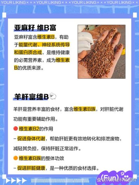 哪些食物含维生素b_维生素b族食物排行榜-第2张图片-山城妙识