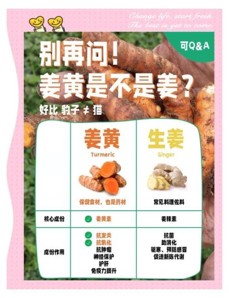 黄姜的功效与作用及食用方法_黄姜怎么吃最好-第2张图片-山城妙识