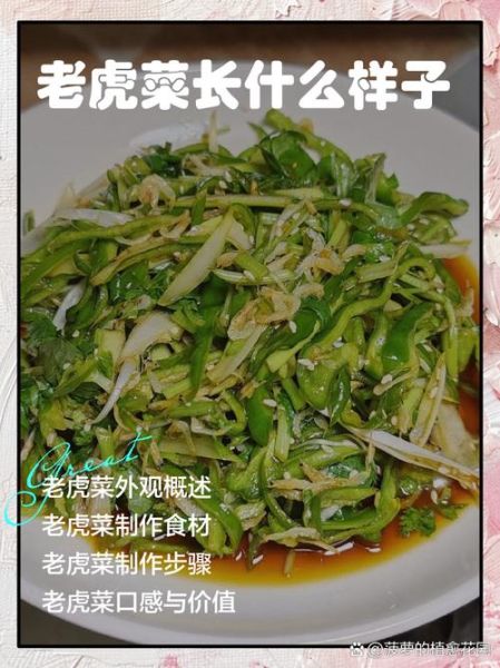 老虎菜为什么叫老虎菜_东北老虎菜名字由来-第3张图片-山城妙识