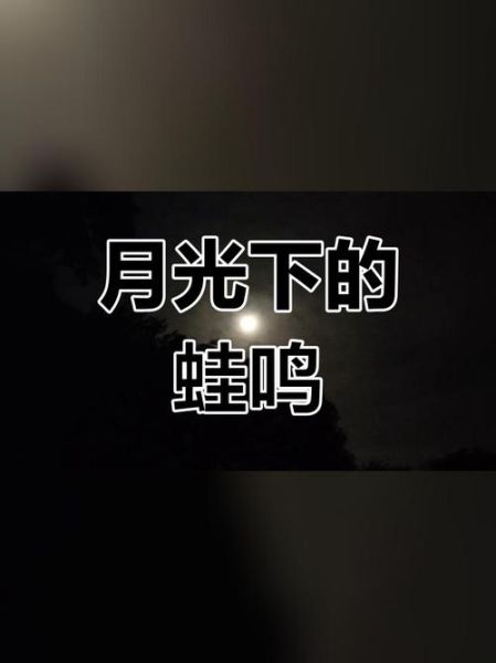 青蛙为什么晚上叫_青蛙叫声代表什么-第2张图片-山城妙识