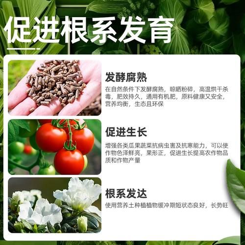 豆饼怎么发酵做肥料_豆饼发酵最简单的方法-第3张图片-山城妙识
