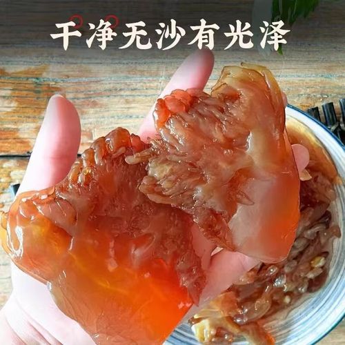 海蜇图片多少钱一斤_新鲜海蜇批发价格-第3张图片-山城妙识 海蜇图片多少钱一斤_新鲜海蜇批发价格-第3张图片-山城妙识