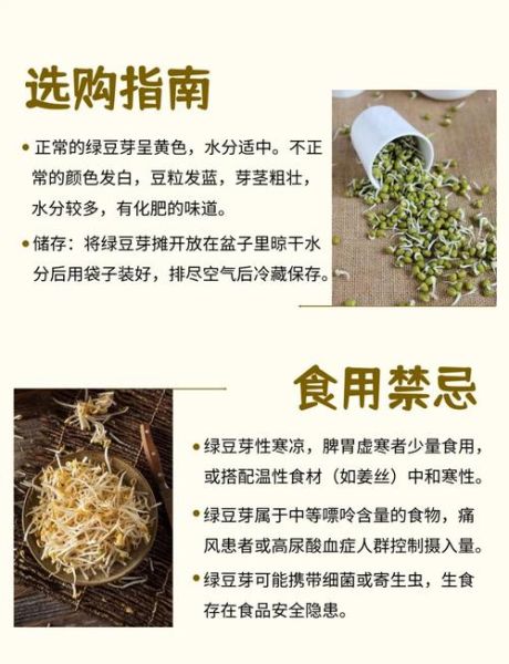 绿豆芽的营养价值及功效_绿豆芽怎么吃最营养-第1张图片-山城妙识 绿豆芽的营养价值及功效_绿豆芽怎么吃最营养-第1张图片-山城妙识