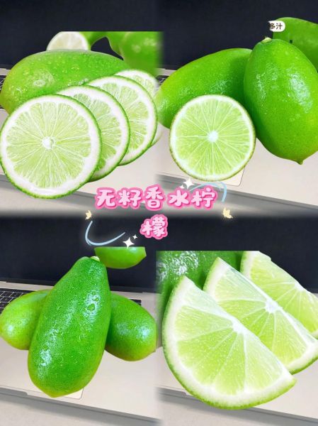 青柠檬怎么吃最好_青柠檬的正确吃法-第3张图片-山城妙识 青柠檬怎么吃最好_青柠檬的正确吃法-第3张图片-山城妙识