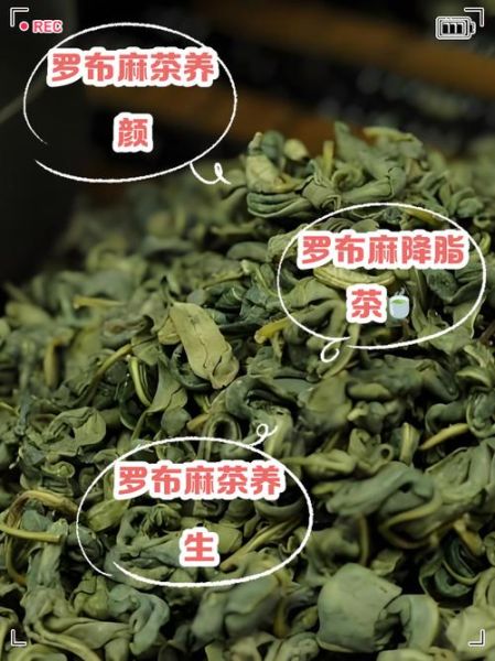 罗布麻茶降血压有效吗_罗布麻茶怎么喝降压好-第1张图片-山城妙识