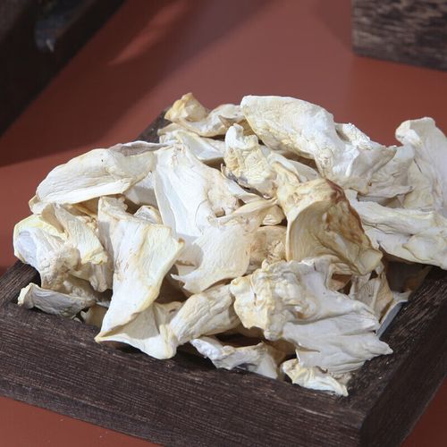 鲍鱼菇图片_如何挑选新鲜鲍鱼菇-第1张图片-山城妙识