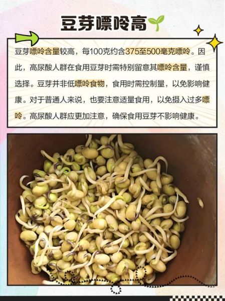 绿豆芽嘌呤高吗_痛风能吃绿豆芽吗-第1张图片-山城妙识 绿豆芽嘌呤高吗_痛风能吃绿豆芽吗-第1张图片-山城妙识