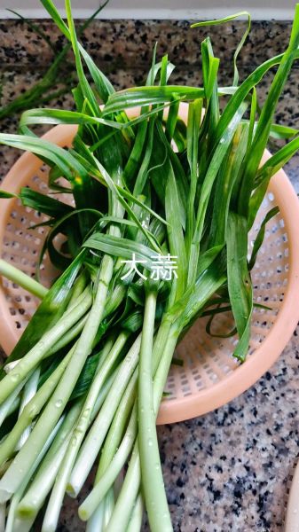 女星春卷是什么_女星春卷梗由来-第3张图片-山城妙识