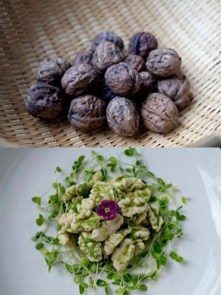 香椿苗拌核桃仁怎么做_香椿苗拌核桃仁的营养价值-第2张图片-山城妙识