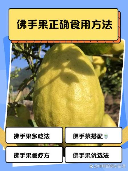 佛手功效与作用禁忌_佛手怎么吃最好-第2张图片-山城妙识