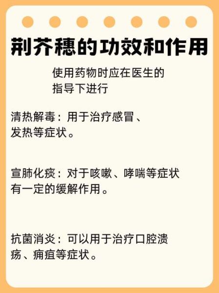 荆芥穗的功效与作用_荆芥穗的禁忌有哪些-第1张图片-山城妙识