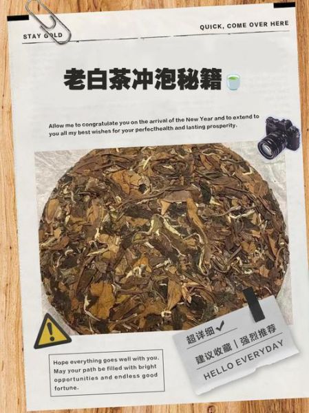 老白茶怎么泡_老白茶的功效与作用-第3张图片-山城妙识